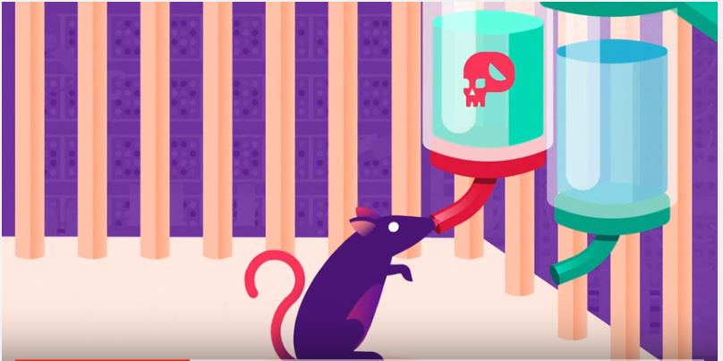 ‘Rat Park’ Study – A Simplistic View of Addiction – 12-STEP PHILOSOPHY